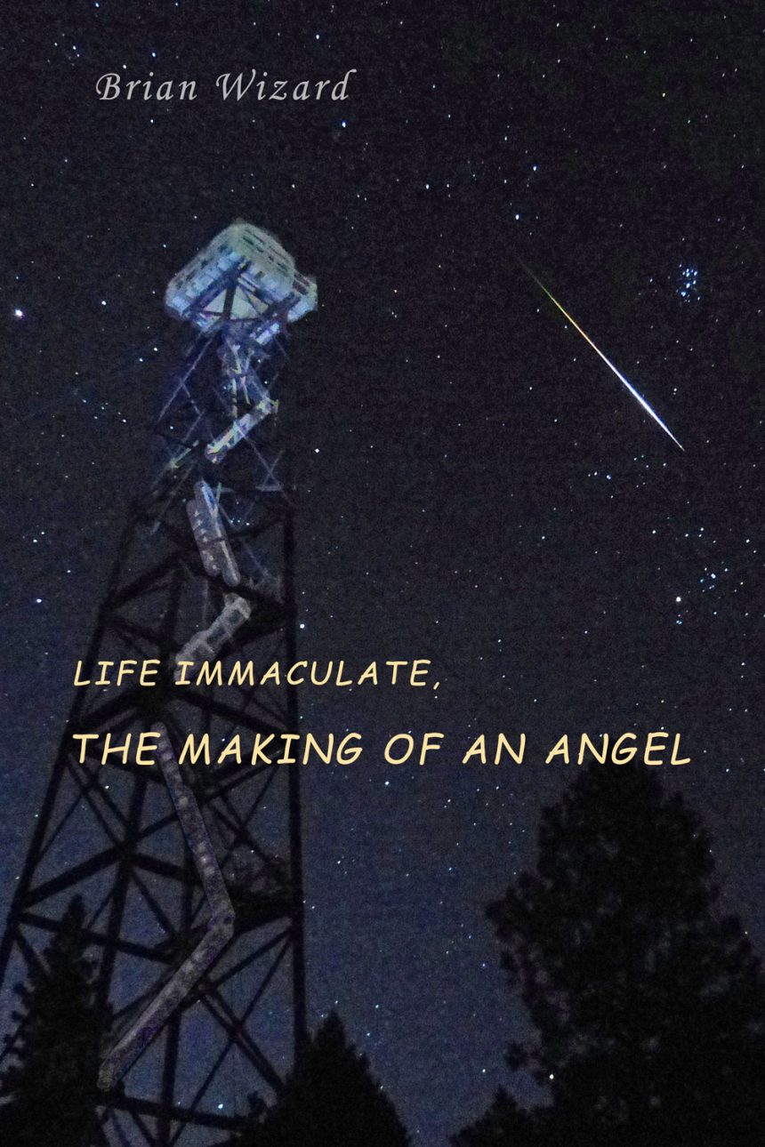 Home - bwizard Art | Best Ebook Download | Brian Wizard